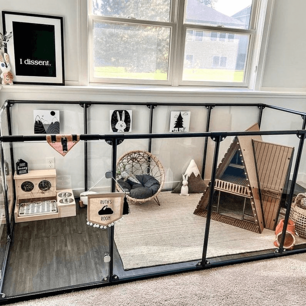 What’s Trending For House Rabbits in 2025? – Clearly Loved Pets SG